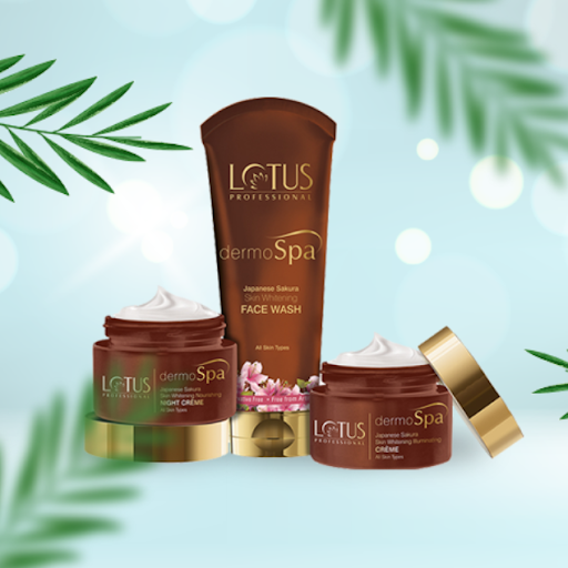Skincare Routine For Different Seasons – Lotus Professional